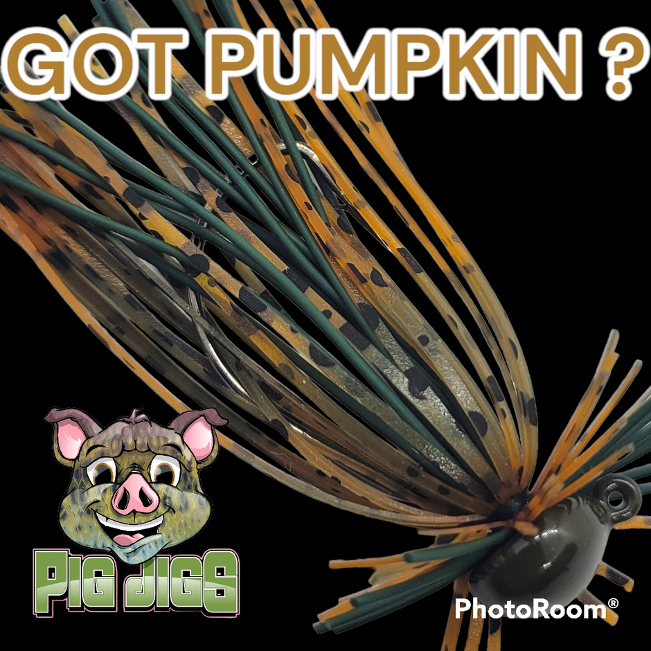 PIG NATION – PIG JIGS