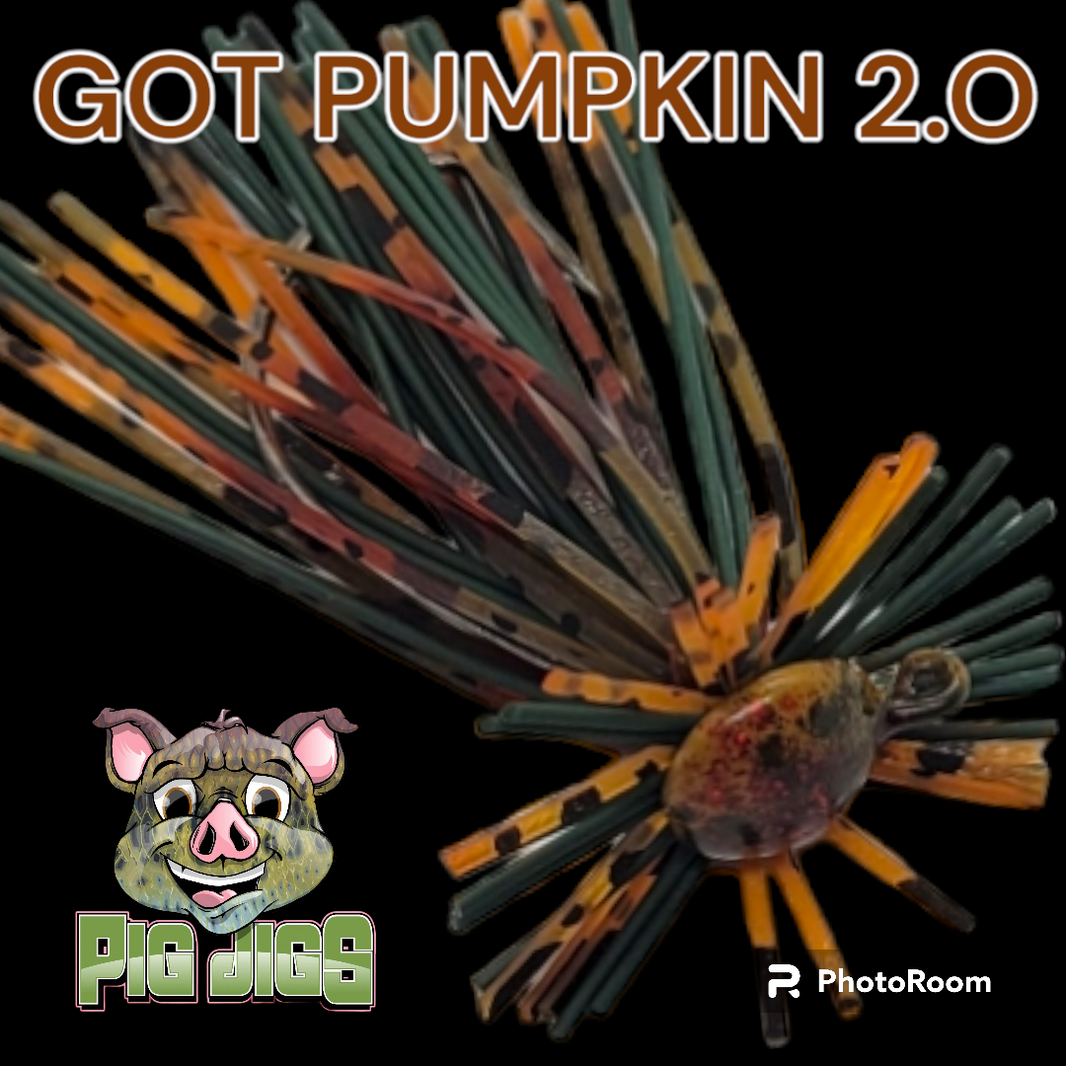 PIG NATION – PIG JIGS